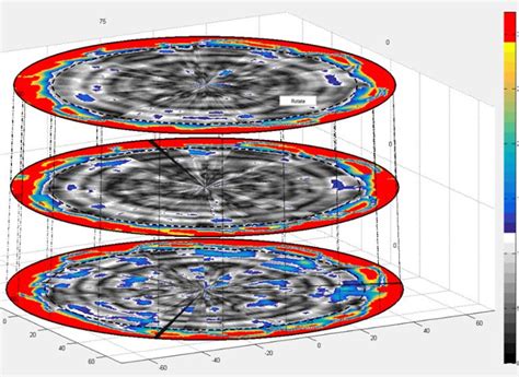 Ground Penetrating Radar Tree Trunk Scanning Ontario GPR Services In Ontario