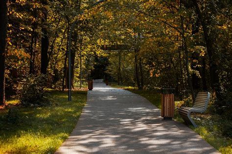 가을 풍경입니다 화창한 날에 노란 잎이 있는 나무가 있는 가을 공원의 아스팔트 길과 벤치 0명에 대한 스톡 사진 및 기타 이미지 Istock