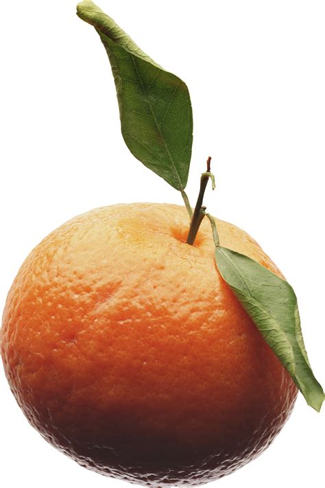 Мандарины к Новому году Кира скрап Png ПНГ клипарт на прозрачном фоне