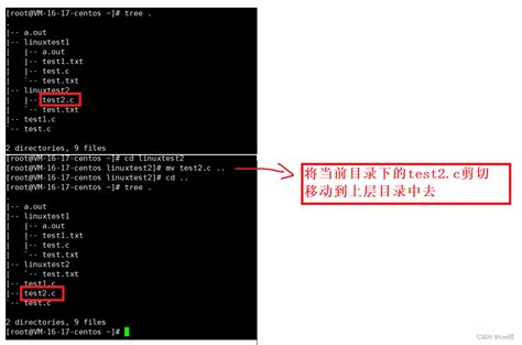 Linux基本指令及其使用linux常用命令及用法 Csdn博客