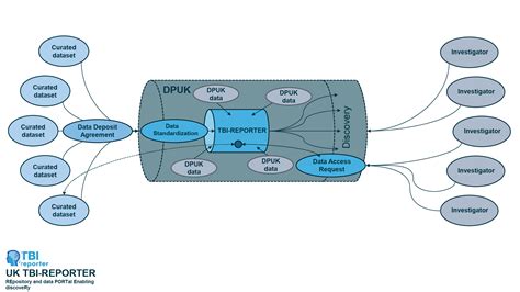 Data Hub Tbi Reporter