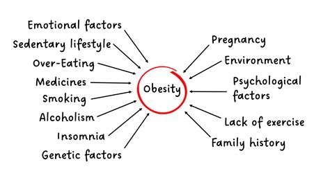 Obesity Causes Did You Know That Obesity Is Actually A Brain Based