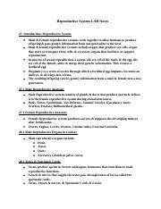 Understanding The Reproductive System Detailed LAB Notes Course Hero