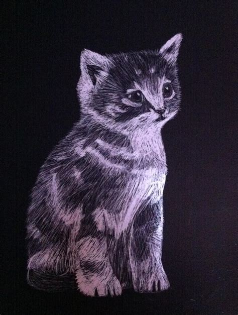 Kitty Cat Scratch Art By Crazyideamaster On DeviantArt