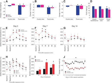 Skeletal Muscle Thermogenesis Induction By Exposure To Predator Odor Pmc