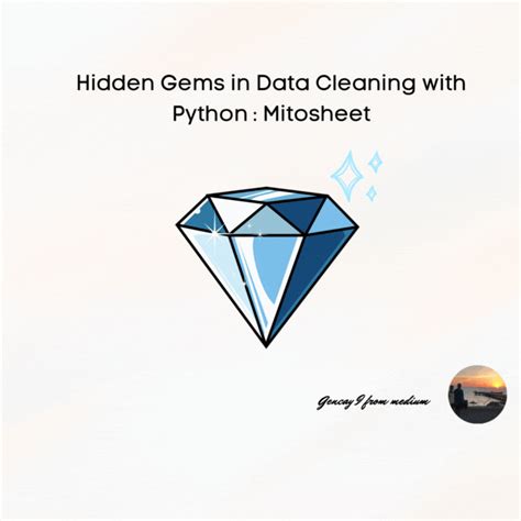 Hidden Gem In Data Cleaning With Python Mitosheet Datadriveninvestor