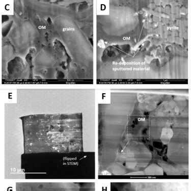 3 Standard FIB SEM Sample Preparation Technique Download Scientific Diagram