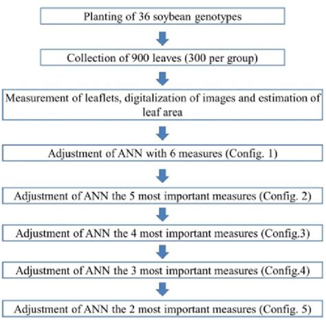 Multilayer Perceptron Neural Network Architecture Used In The Leaf Area Download Scientific