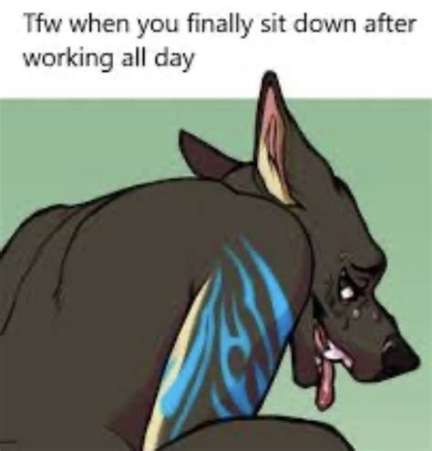 Posting A Cropped Yiff Meme Every Day Until Nnn Is Over Day 29 R