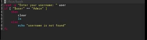 I Found Bug Issue Zyedidia Micro GitHub