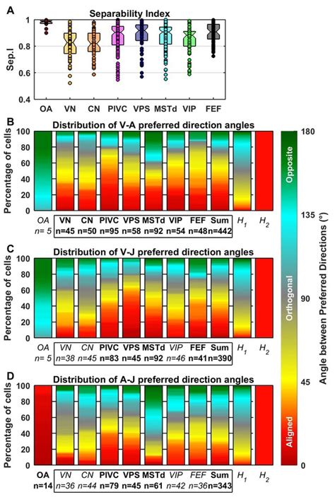 Transformation Of Spatiotemporal Dynamics In The Macaque Vestibular