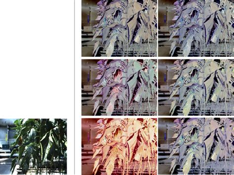 Reference Image For PSNR Comparison A And PSNR Images By Difference Download Scientific
