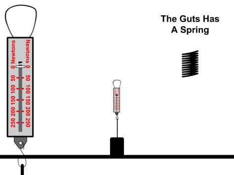 Hookes Law And Spring Force Stickman Physics