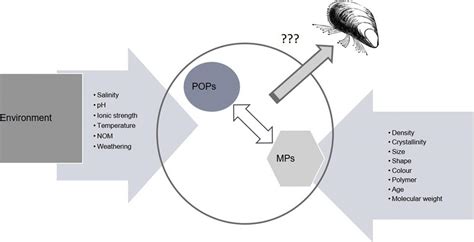 Significance Of Interactions Between Microplastics And Pops In The