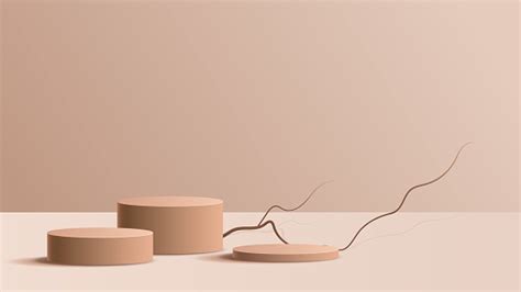 Brawn 연단은 추상적 인 빛과 가지의 최소한의 배경 제품 디스플레이 장면을 표시하고 화장품 브랜딩 및 포장 프리젠 테이션을위한 스틱을 표시합니다 잎 배경의 그림자가있는