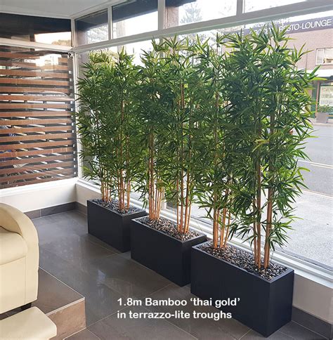 Artificial Plants Flowers And Trees For Restaurant Settings