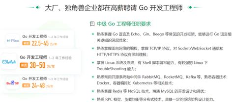 Go实战训练营0期 2022年无秘13周包更新价值5999元 小白自学网