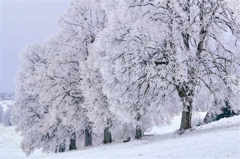 겨울 풍경 눈 흰 Pixabay의 무료 사진