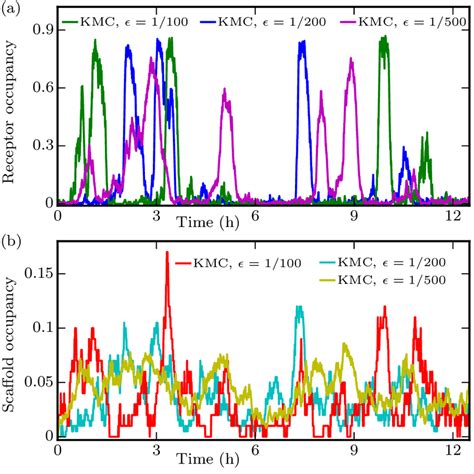 Individual Stochastic Trajectories Of A Receptor And B Scaffold