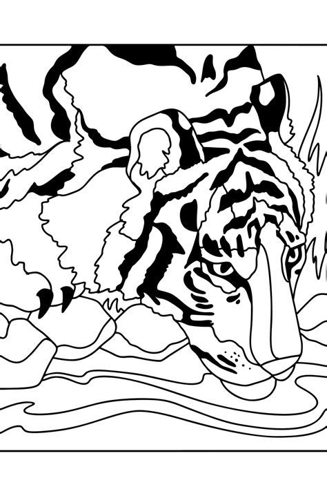 Tiger In Nature Tigers Coloring Pages For Adults Online