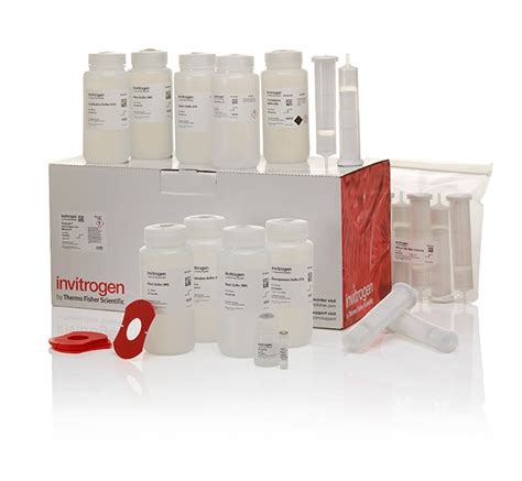 Invitrogen Purelink Hipure Plasmid Filter Maxiprep Kit 25 Preps Buy Online Invitrogen
