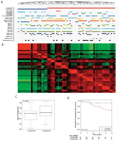 Unsupervised Hierarchical Clustering HCL Of Male Breast Cancers Based