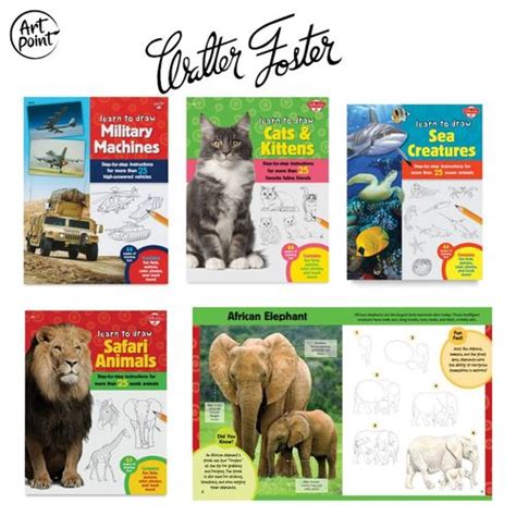 חוברות לימוד ציור שלב לאחר שלב לילדיםנוערמתחילים מגוון נושאים וולטר