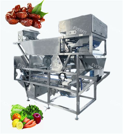 High Quality Date Palm Sorting And Grading Machine High Quality High Quality Date Palm Sorting