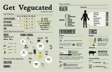Get Vegucated Plant Based Vegetarian Vegan Infographic Vegan