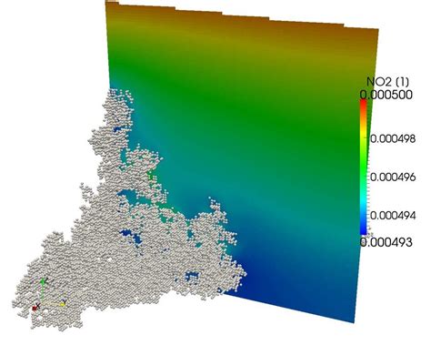 The Influence Of The Soot Structure On The Species Distribution