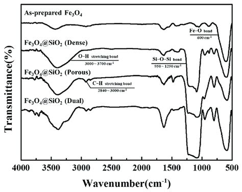 Ft Ir Spectra Of As Prepared Fe 3 O 4 And Fe 3 O 4 Sio 2 Nanoparticles