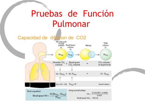 Pruebas De Funcion Pulmonar Ppt