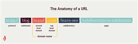 Subdomain Vs Subdirectory Which Is Better For SEO