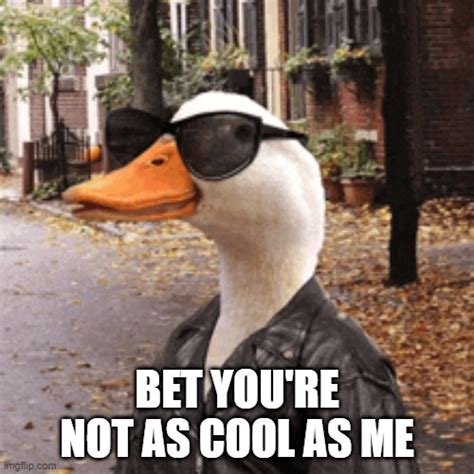 Awesome Duck Memes Funny Duck Memes Compilation Guess Who Tiktok