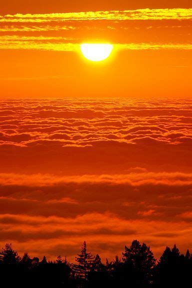 Clock Oc Who Is Tonys Brother Aesthetic For Ano Tumbex