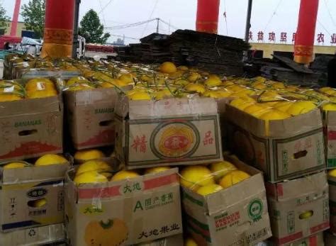 八里营甜瓜 安阳滑县特产甜瓜 国家地理标志产品 滑县八里营甜瓜 河南产地宝