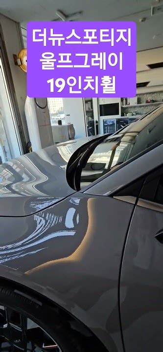 울프그레이 더뉴스포티지 스포티지울프그레이 Youtube
