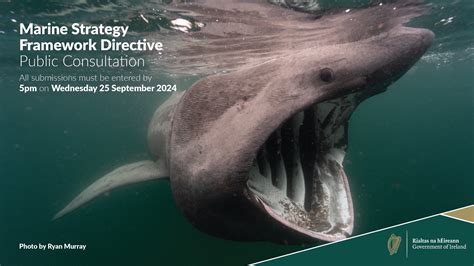 Public Consultation On Irelands Marine Strategy Framework Directive Marine Strategy Part 1