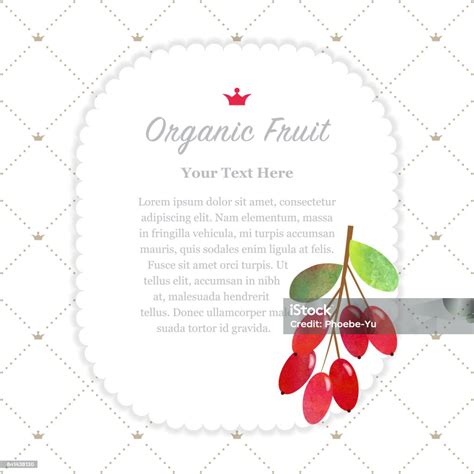 다채로운 수채화 질감 자연 유기 과일 메모 프레임 매 발톱 나무 0명에 대한 스톡 벡터 아트 및 기타 이미지 0명 계절 과일 Istock