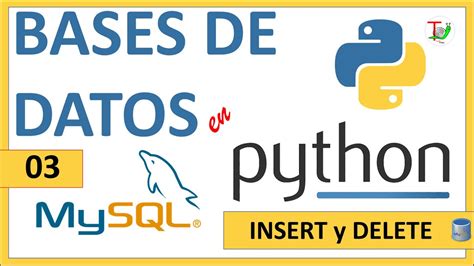 03 Base De Datos Con Python Insert Select Delete Youtube