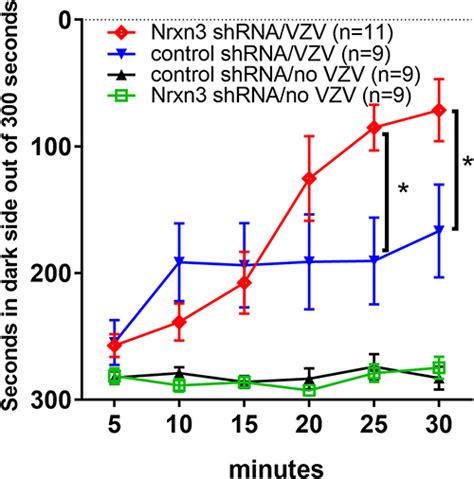 Neurexin 3 Regulates Synaptic Connections Jpr