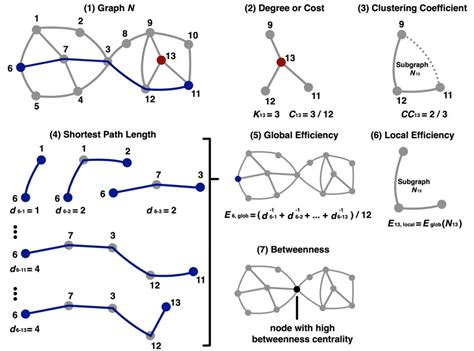 Illustration Of Graph Theory Metrics 1 A Visualization Of Graph N As Download Scientific