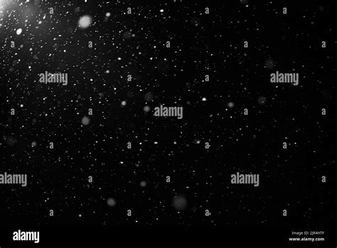 Snowflakes Falling Down On Black Background Heavy Snow Flakes Isolated Flying Rain Overlay