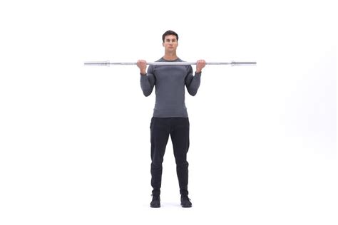 Подъем штанги на бицепс стоя техника Musclefit