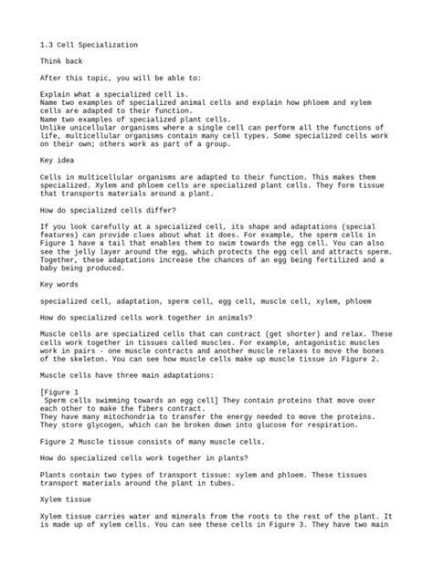 1 3 Cell Specialization Pdf Tissue Biology Cell Biology