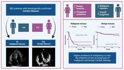 Sex Related Disparities In Cardiac Masses Clinical Features And Outcomes