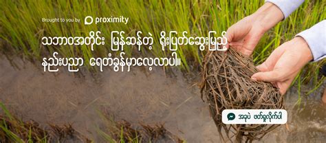 ဝိစာရ ယင်ဖြူ နှင့် ဖျက်ပိုးမျိုးစုံ နှိမ်နင်းဖို့ရာ ကေလာ ကို သုံးက