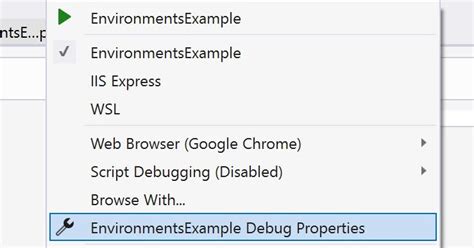 Set The Hosting Environment For A Net Core Console Application