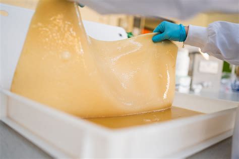 Materials Circularity Textiles Circularity Centre