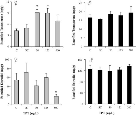 Esterified Testosterone And Estradiol Levels Determined In The Download Scientific Diagram